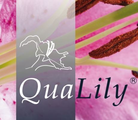 Ruud van der Hoeven | Businessclub WWV